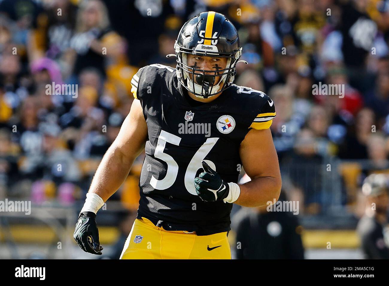 Pittsburgh Steelers' Alex Highsmith during an NFL football game against ...