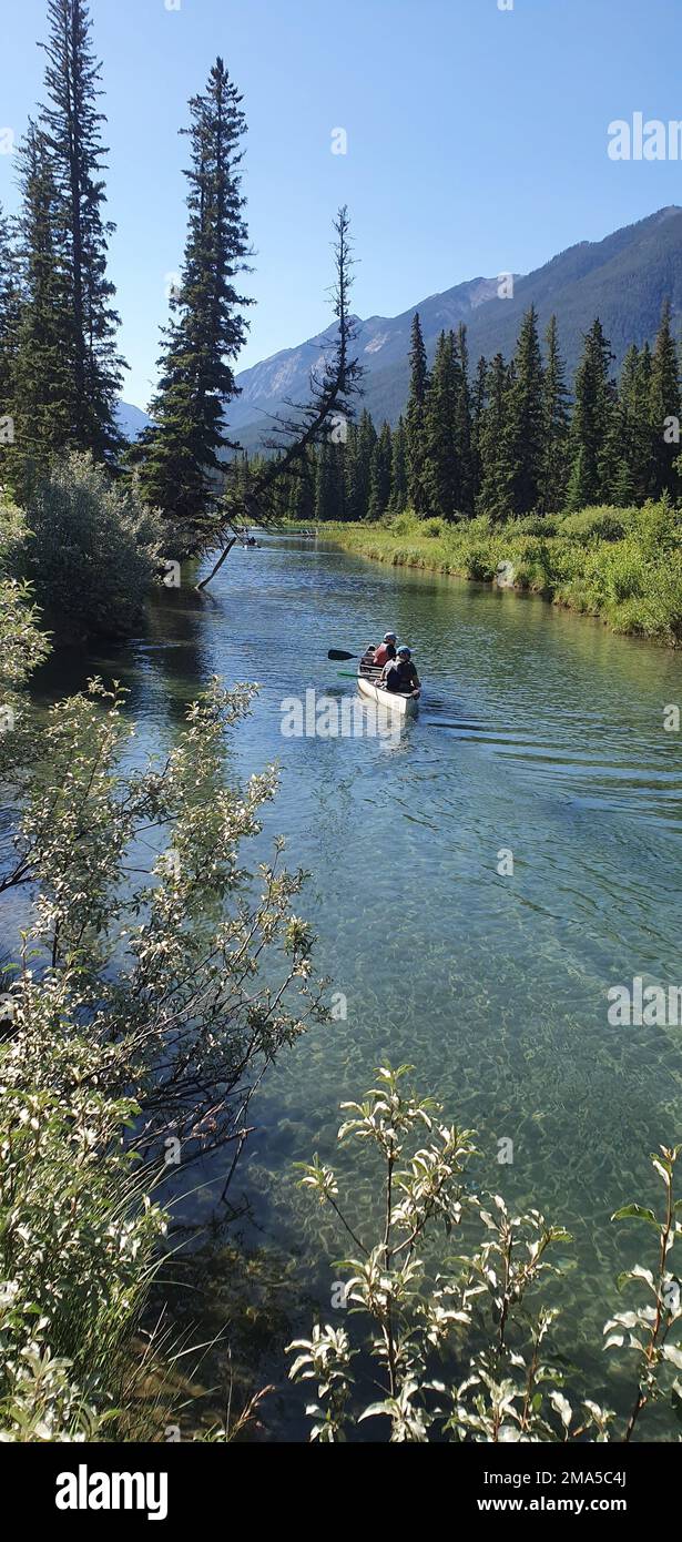 A vertical shot of two people in a canoe in the river surrounded by ...