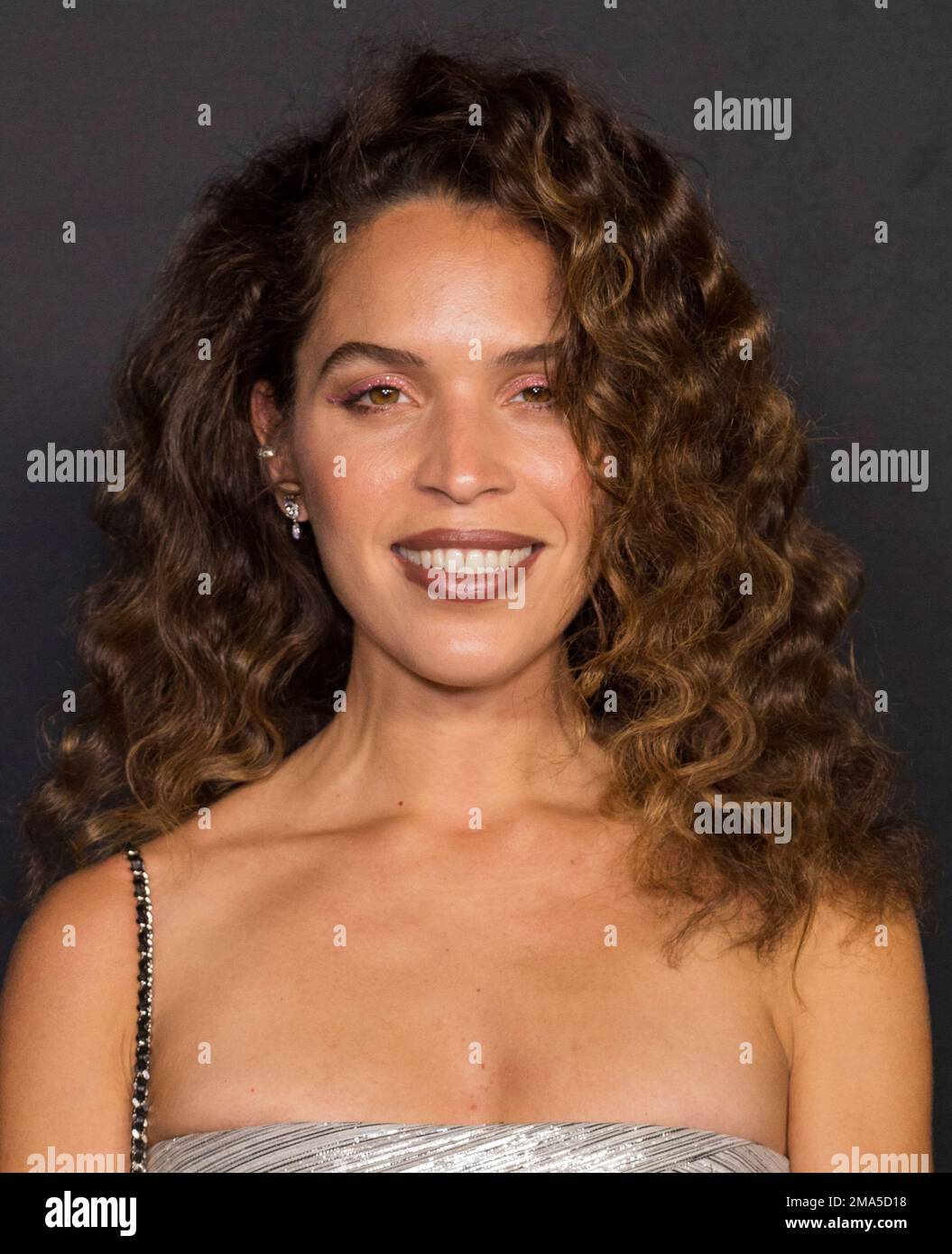 Cleo Wade arrives at the Chanel dinner to celebrate the 1932 high ...