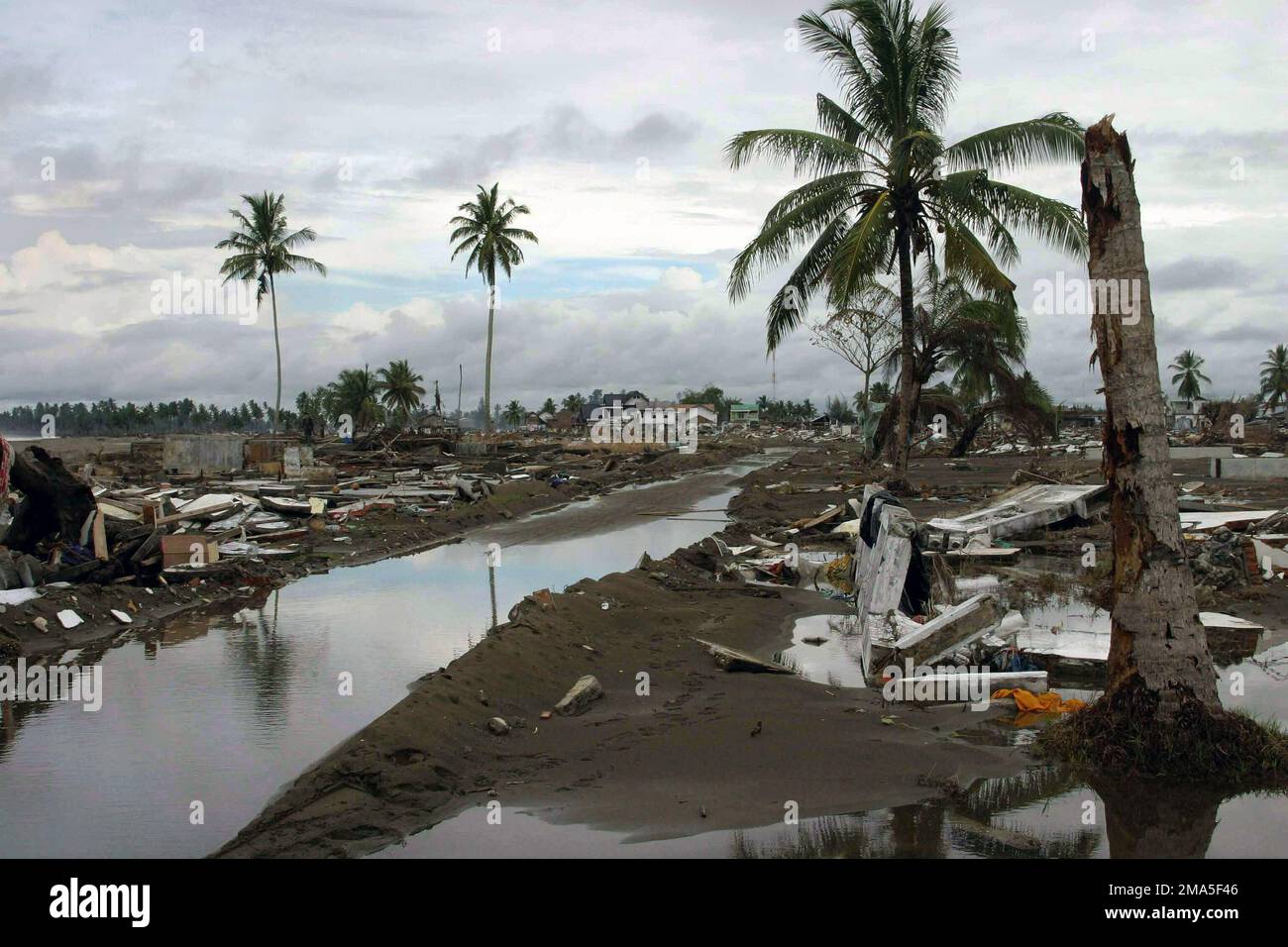 050110-N-0678H-004. Base: Meulaboh Mosque State: Sumatra Country ...