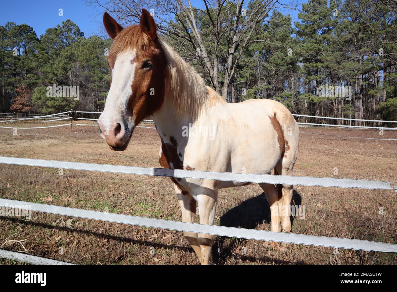 North carolin a hi-res stock photography and images - Alamy