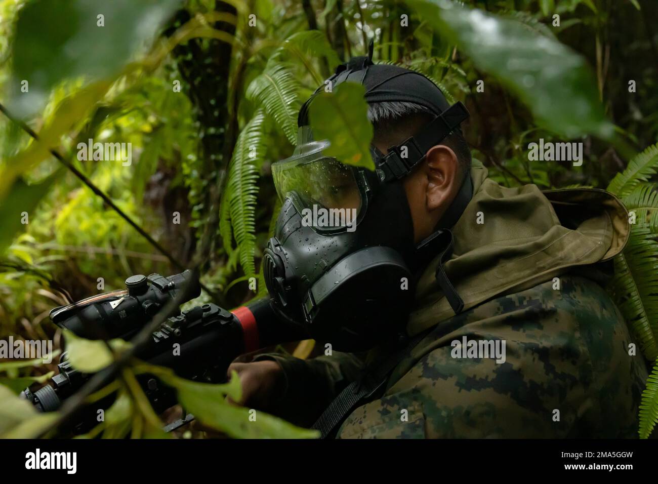 Motor convoy operations hi-res stock photography and images - Alamy