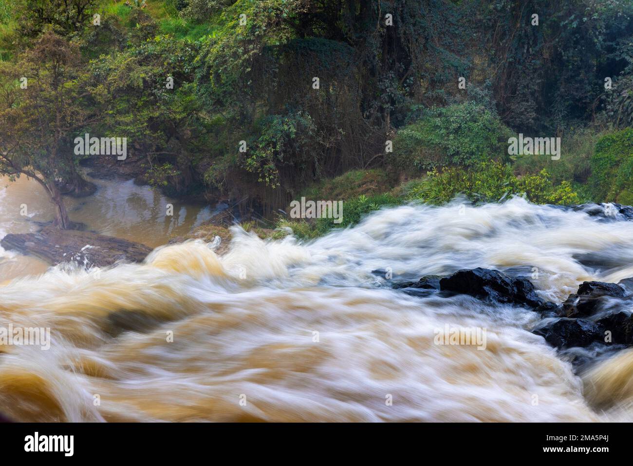 Elephant waterfall in Vietnam Stock Photo - Alamy