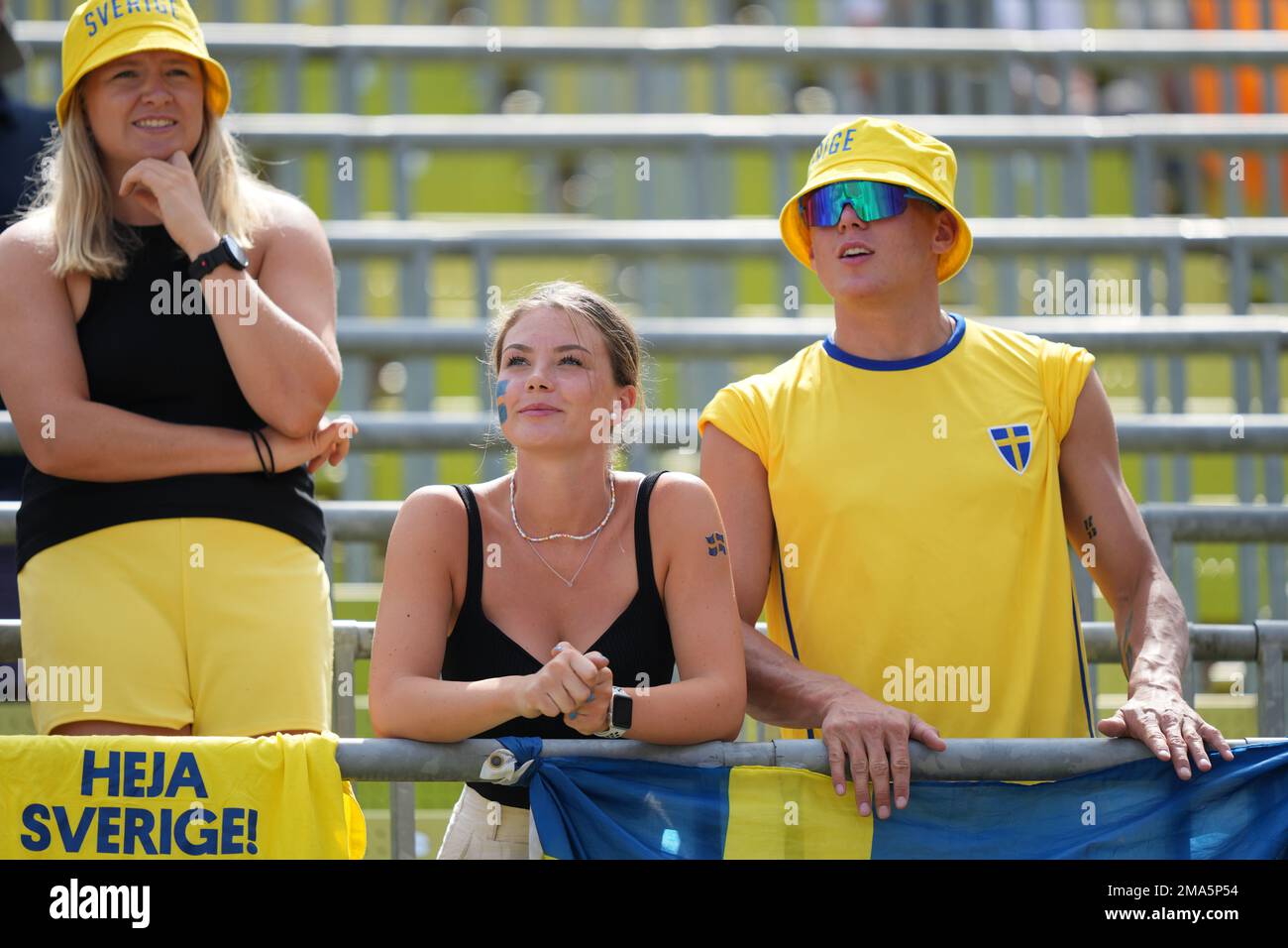 Swedish fans cheering on their country in sport Stock Photo - Alamy