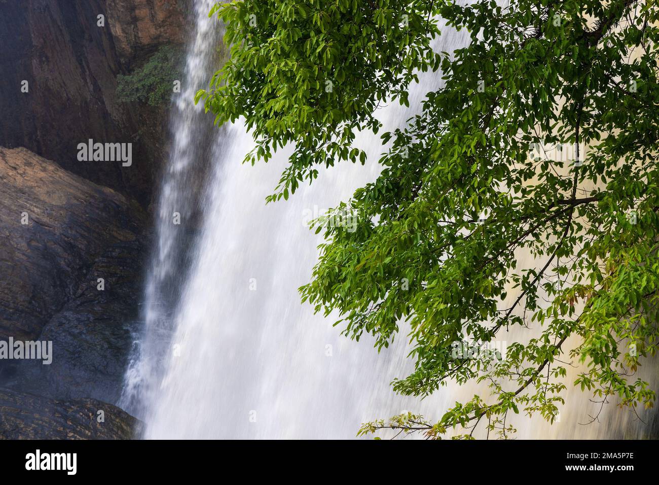 Elephant waterfall in Vietnam Stock Photo - Alamy