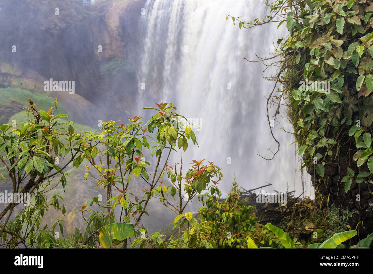 Elephant waterfall hi-res stock photography and images - Alamy
