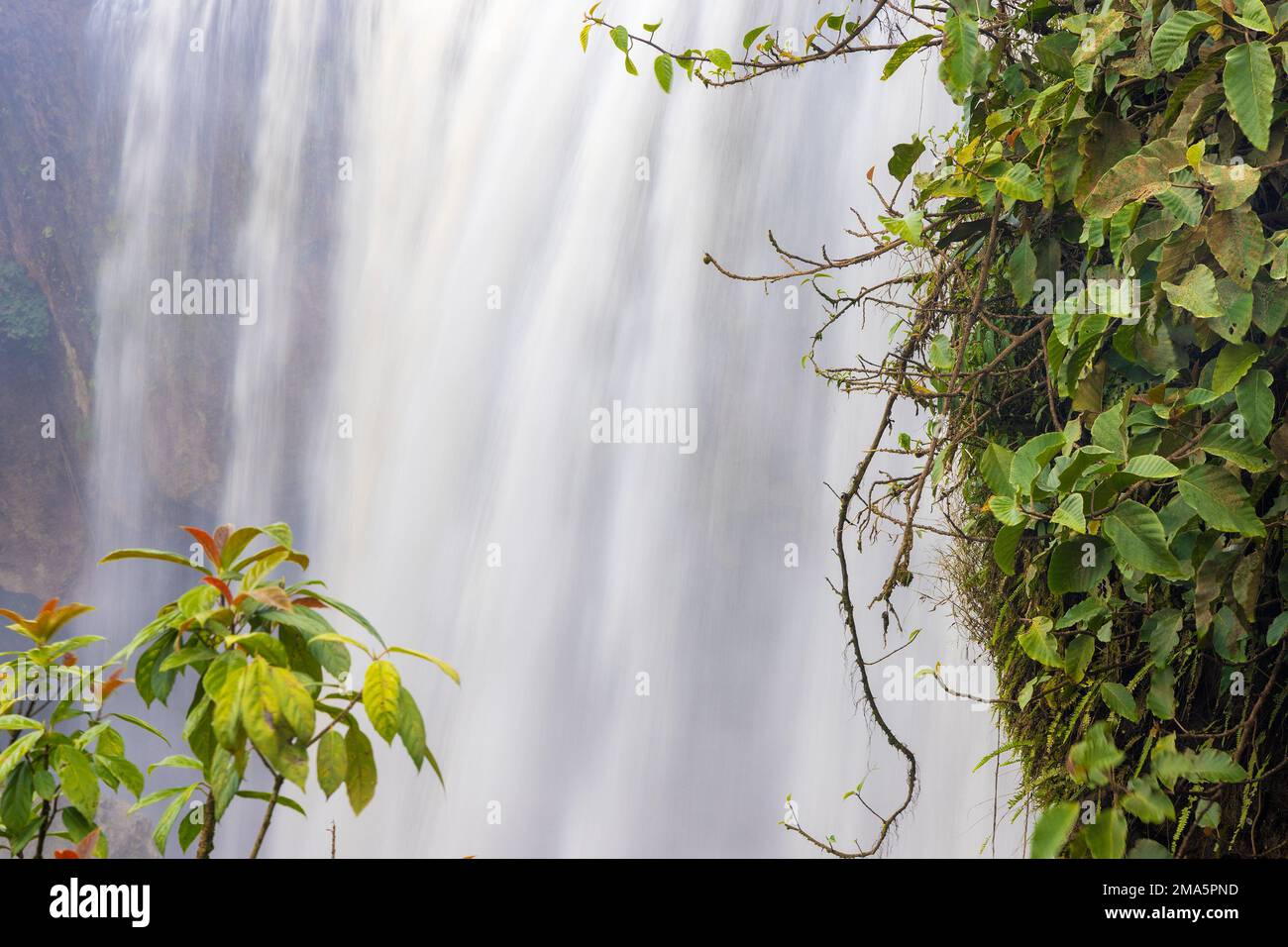 Elephant waterfall in Vietnam Stock Photo - Alamy
