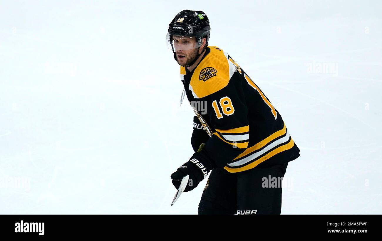 Boston Bruins center Pavel Zacha (18) during an NHL hockey game, Monday ...