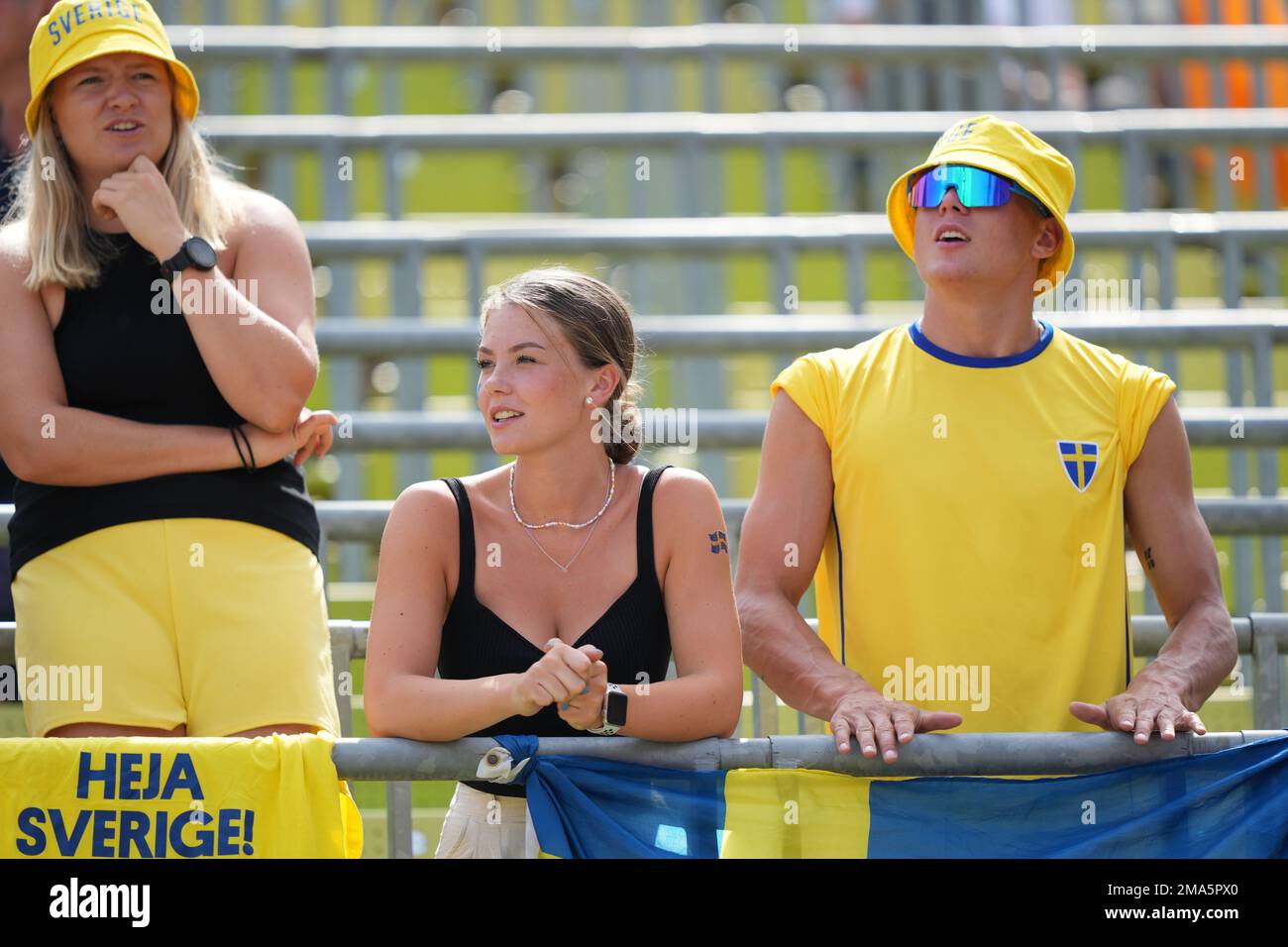 Swedish fans cheering on their country in sport Stock Photo - Alamy