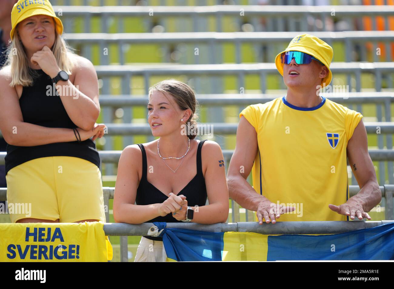 Swedish fans cheering on their country in sport Stock Photo - Alamy