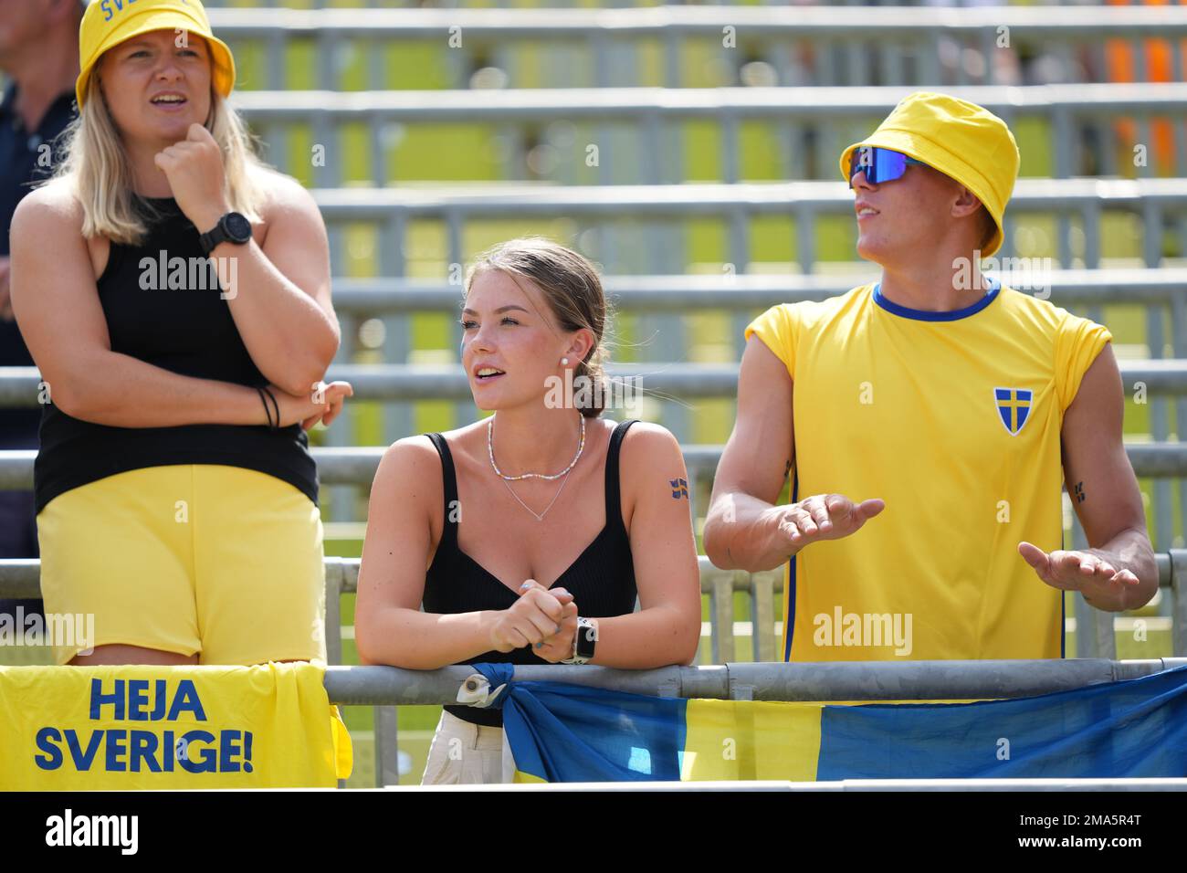 Swedish fans cheering on their country in sport Stock Photo - Alamy