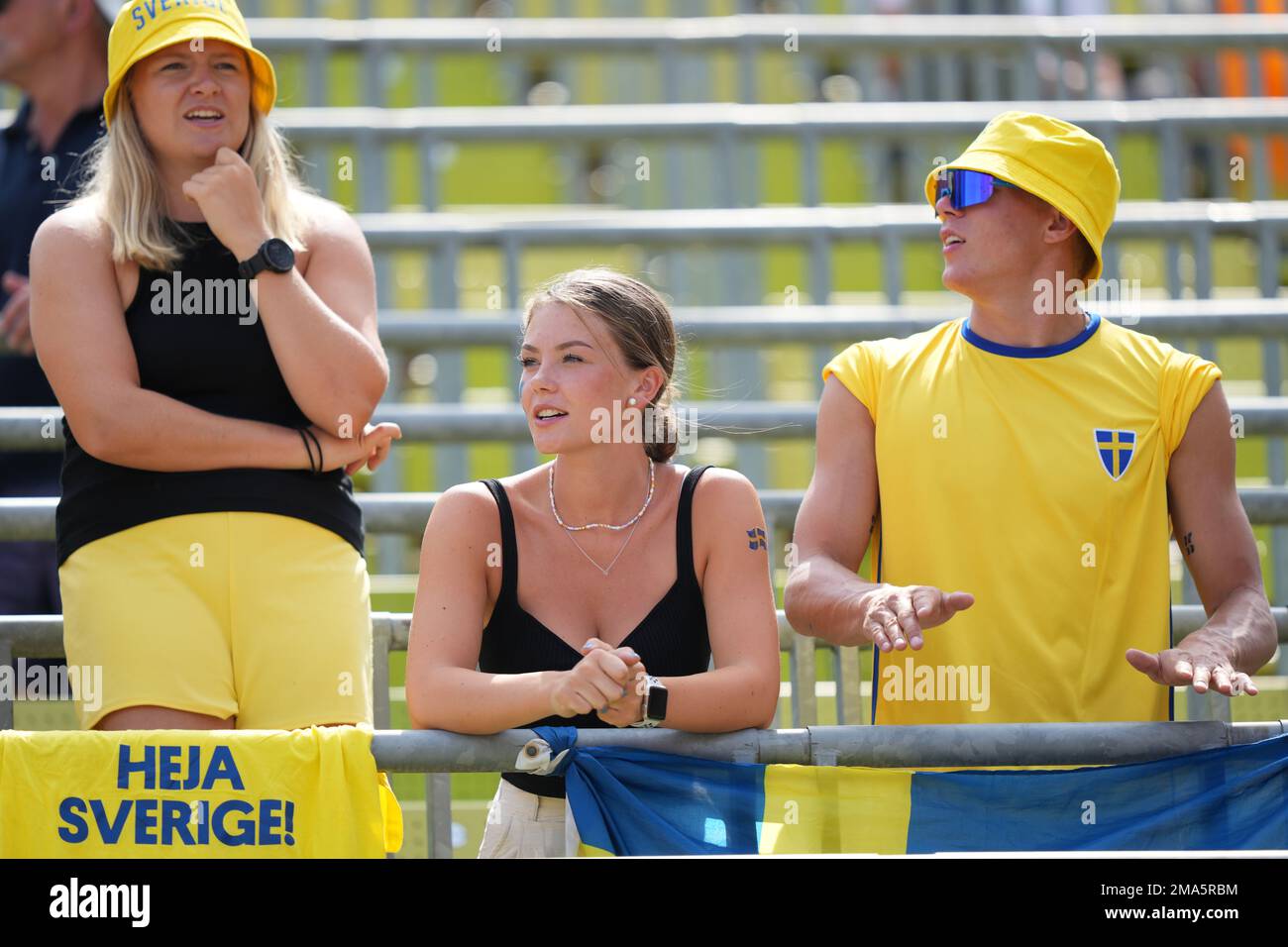 Swedish fans cheering on their country in sport Stock Photo - Alamy