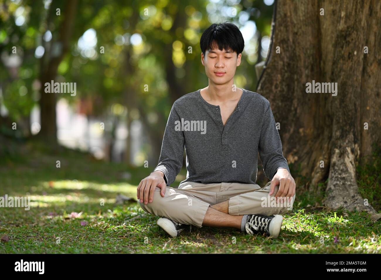 Pleasant millennial asian man hi-res stock photography and images - Alamy