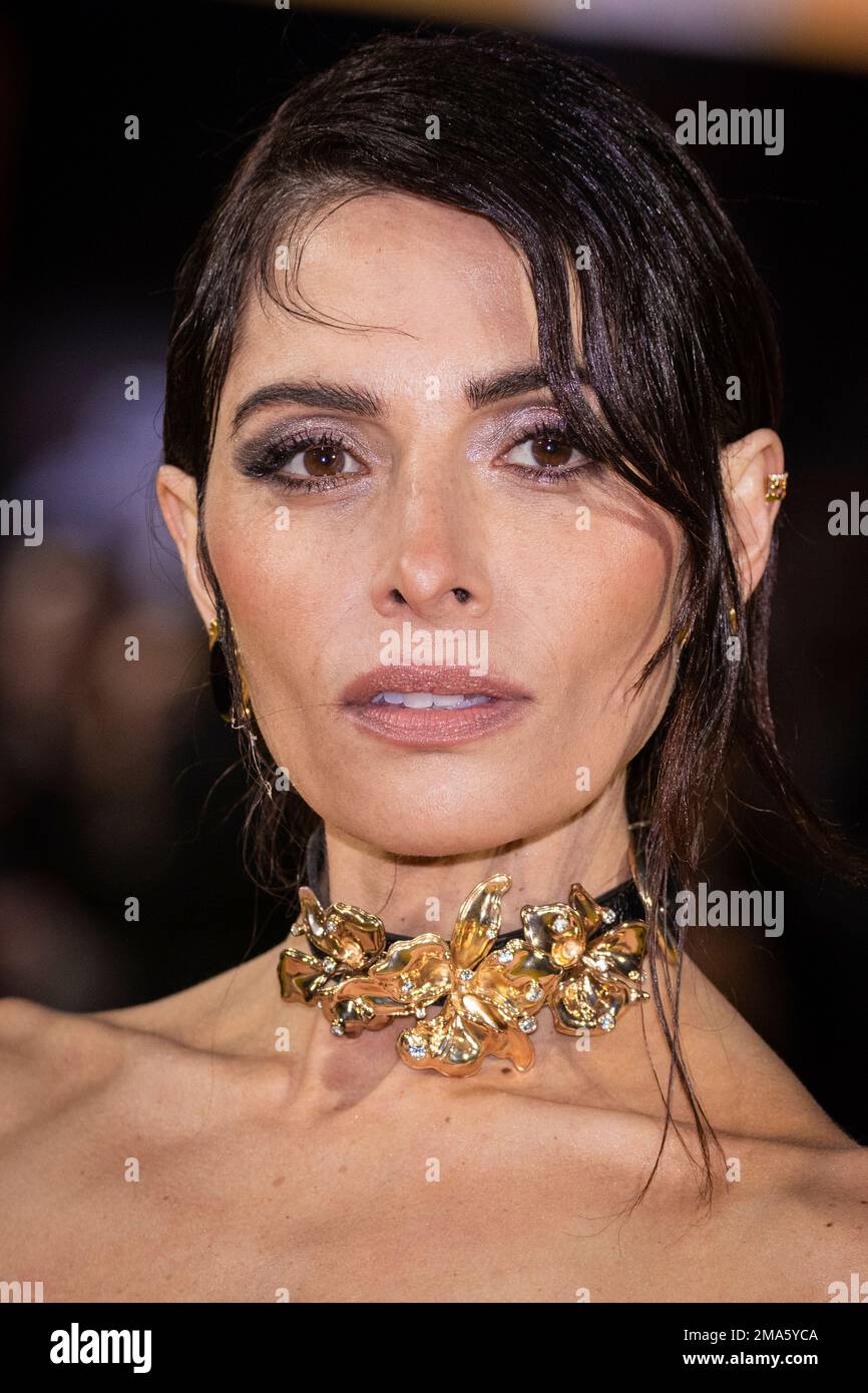 Sarah Shahi Poses For Photographers Upon Arrival For The Premiere Of