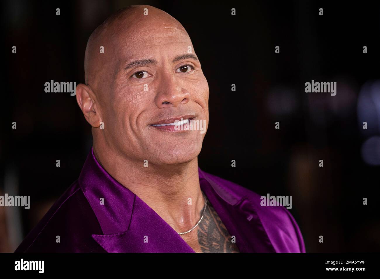 The Rock Eyebrow 2022