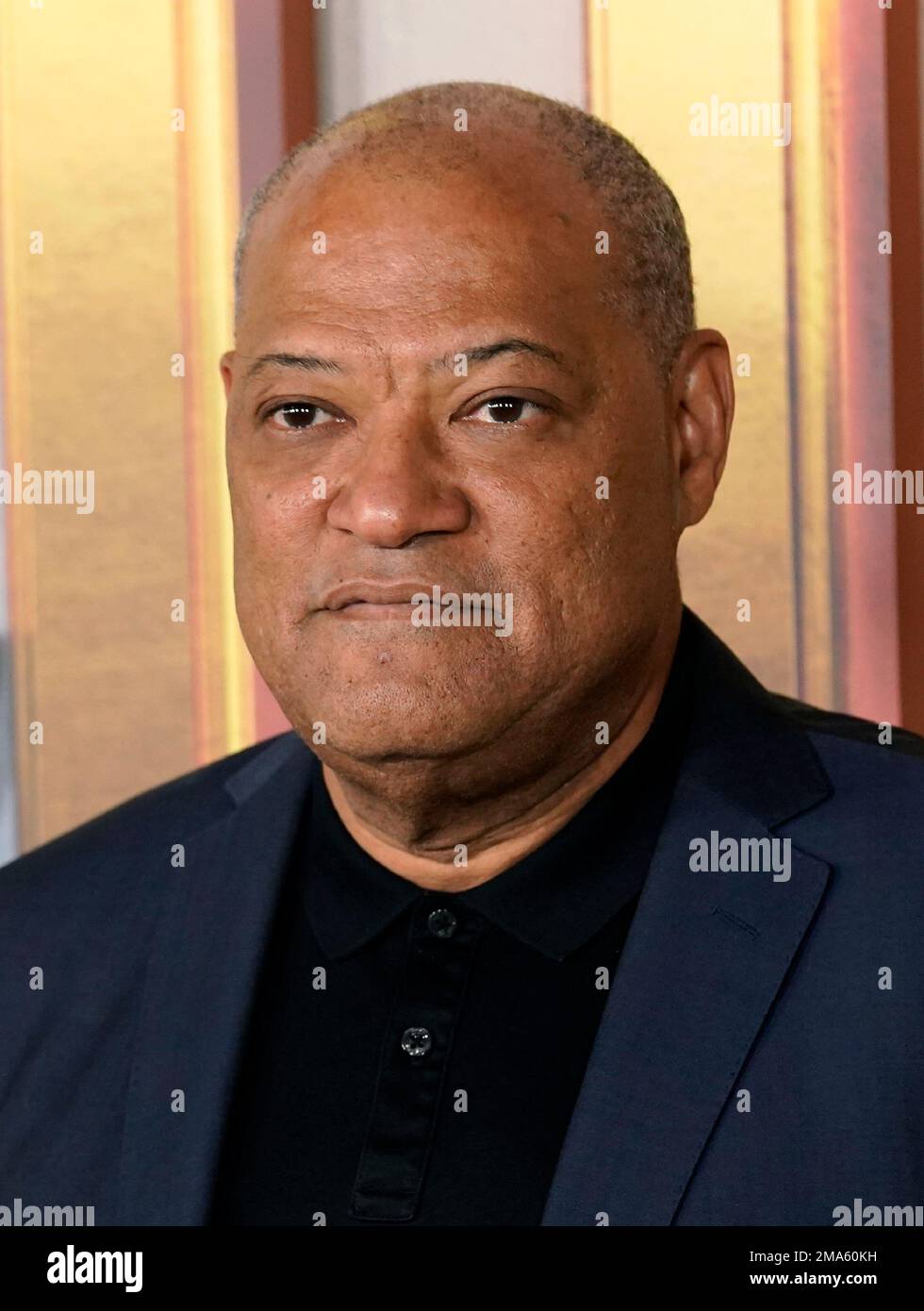 Laurence Fishburne poses at the premiere of the film "The School for ...