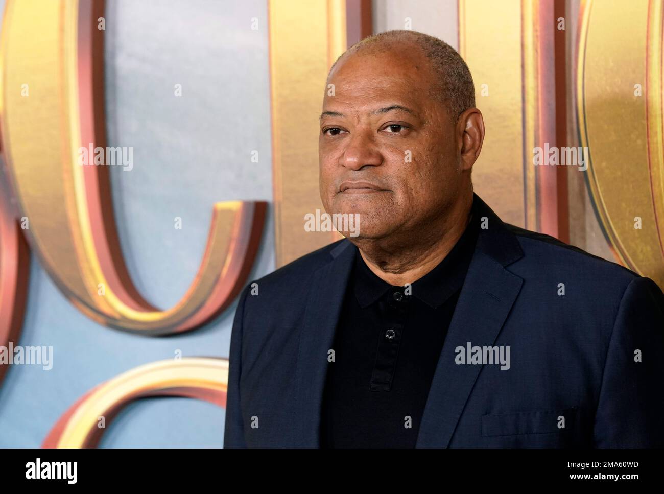 Laurence Fishburne poses at the premiere of the film "The School for ...