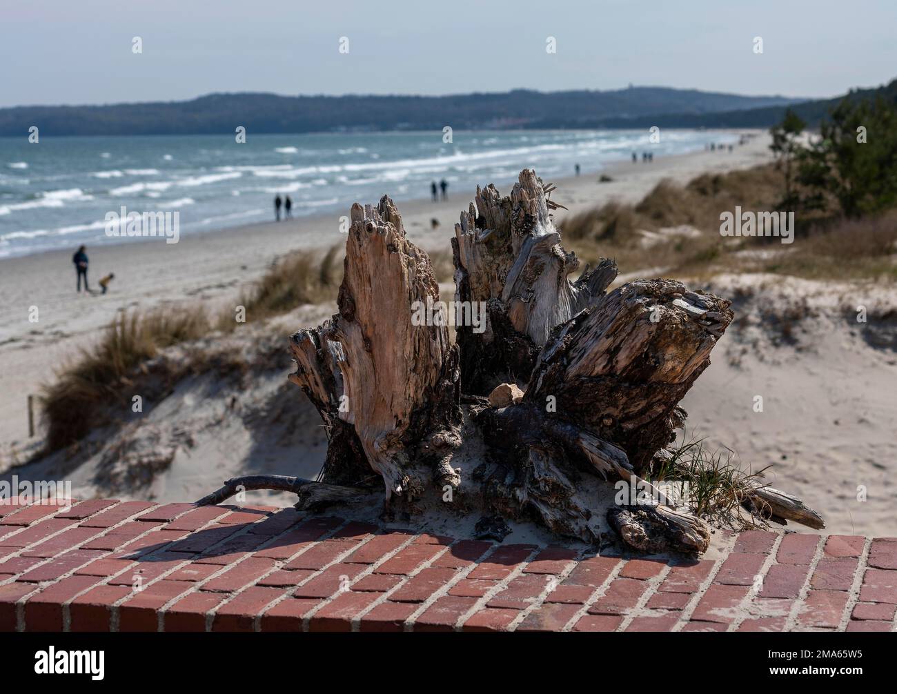 Old firewall Prora beach, Ruegen, Mecklenburg-Western Pomerania ...