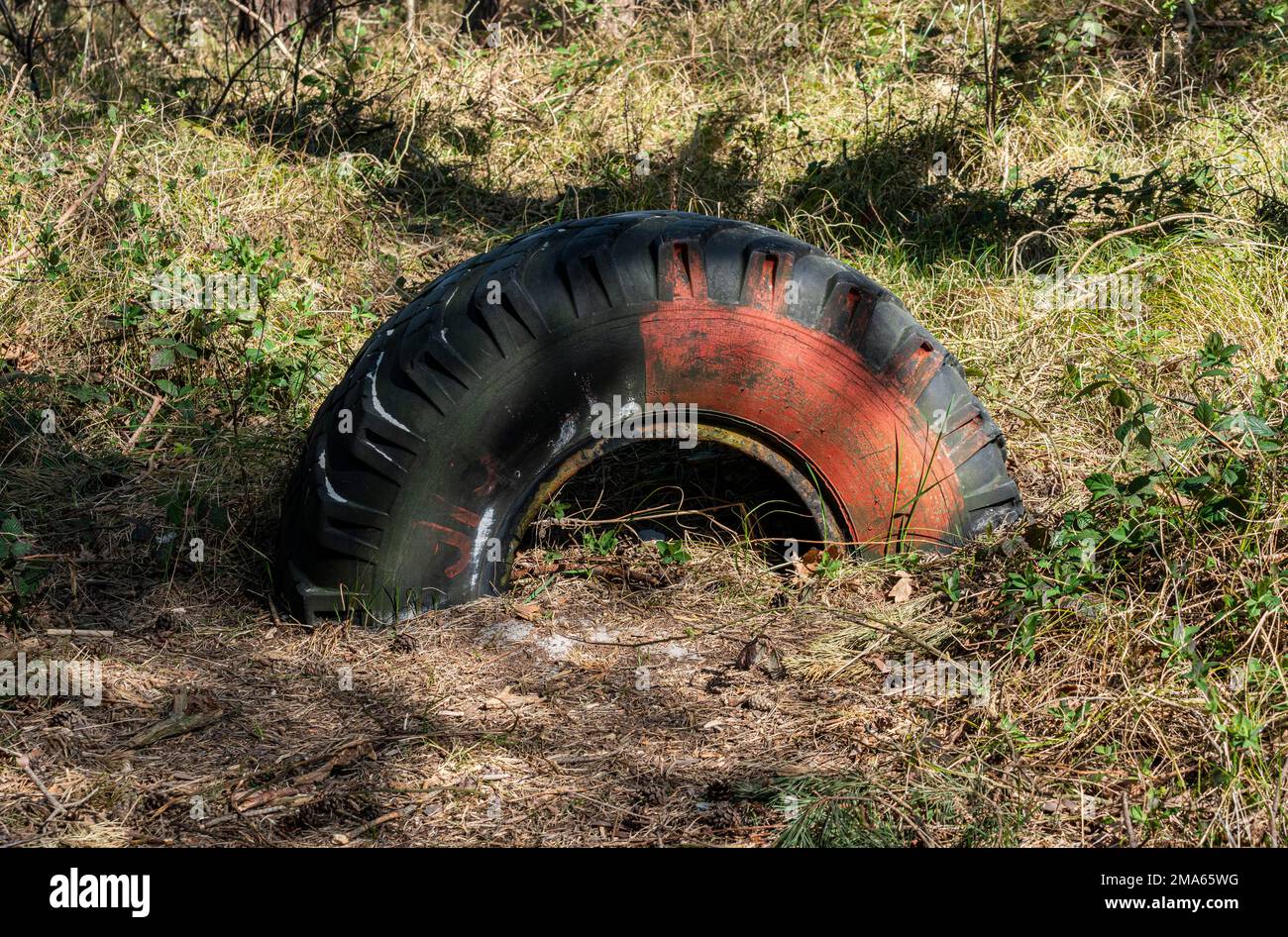 Environmental pollution caused by an old truck tyre, Ruegen ...
