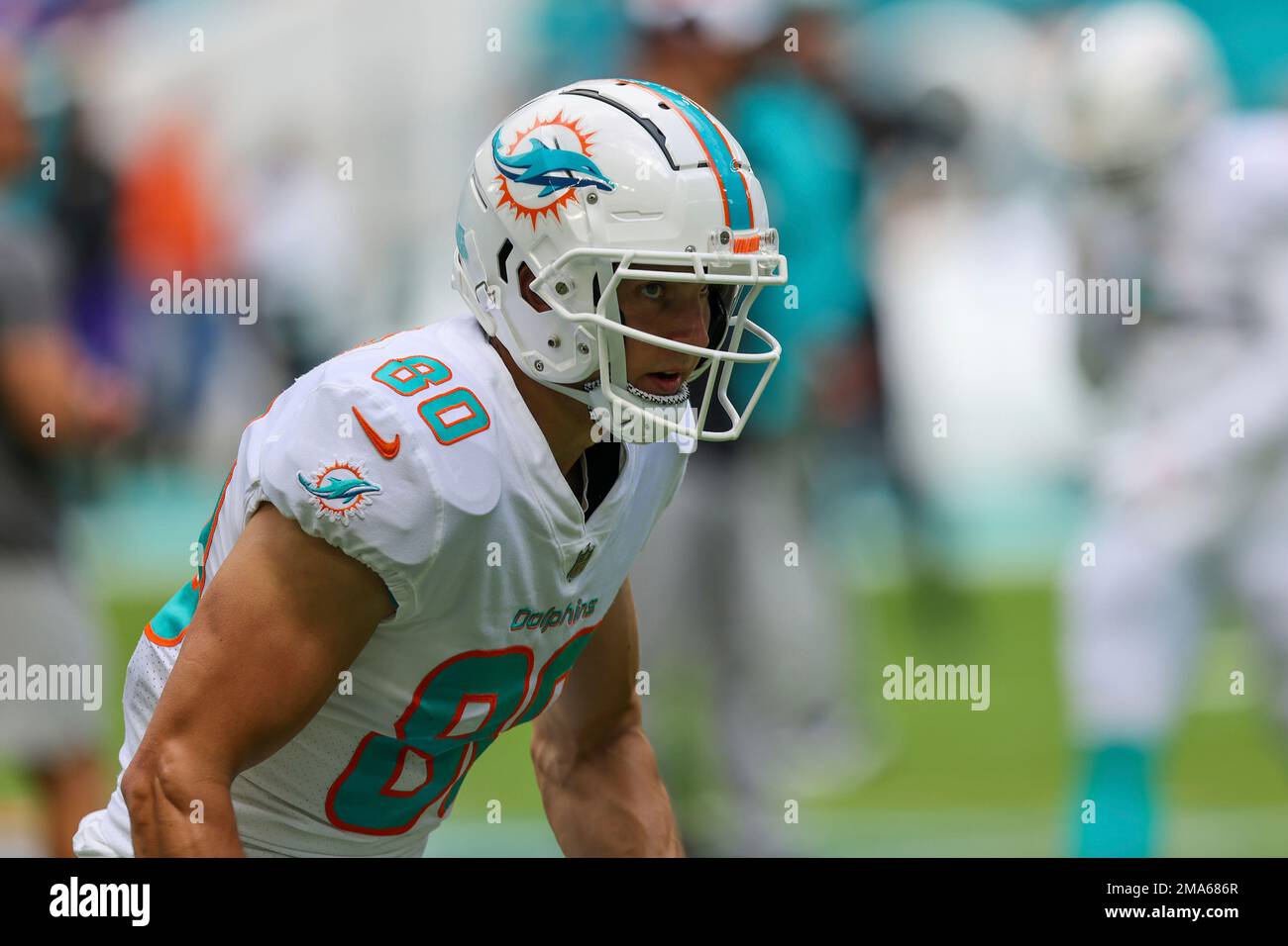 Miami Dolphins tight end Tanner Conner (80) warms up during a NFL ...