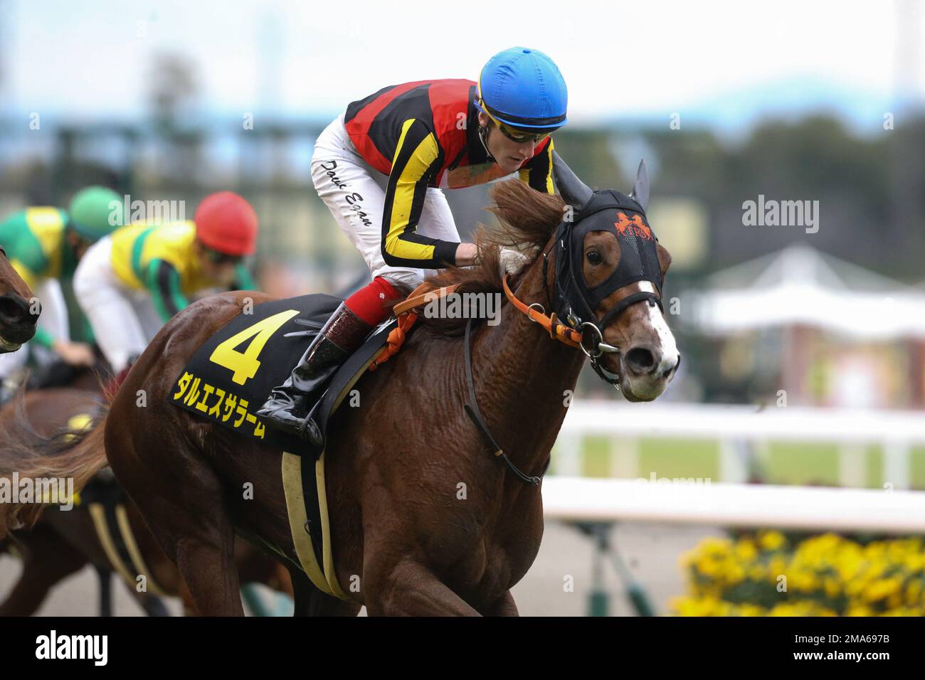 David yamane hi-res stock photography and images - Alamy