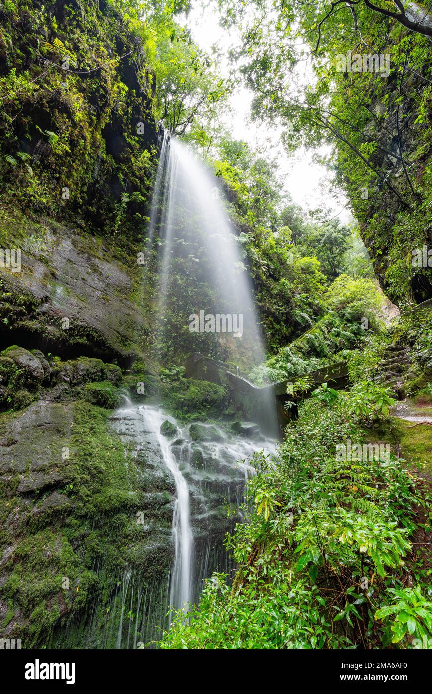 Waterfall in the water gorge, Barranco del Agua, Los Tilos, La Palma ...