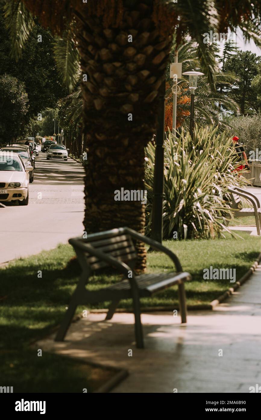 Bench on a concrete sidewalk Stock Photo - Alamy