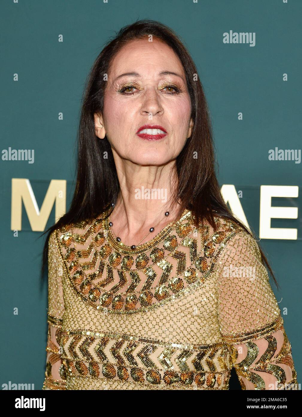 Pat Cleveland attends the God's Love We Deliver 16th annual Golden ...