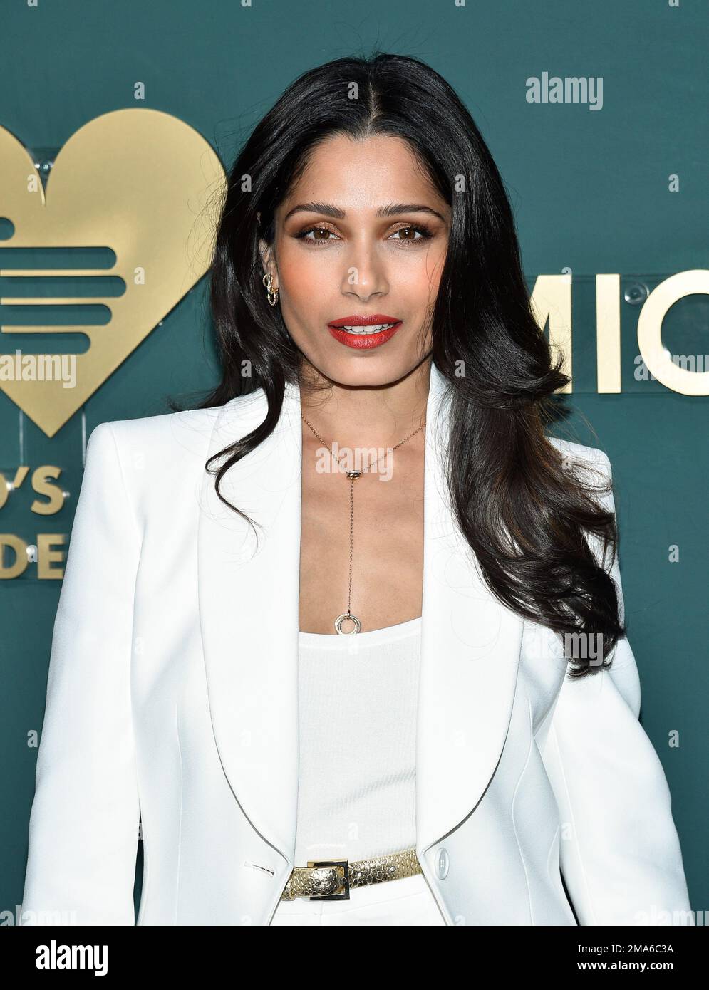 Freida Pinto attends the God's Love We Deliver 16th annual Golden Heart ...