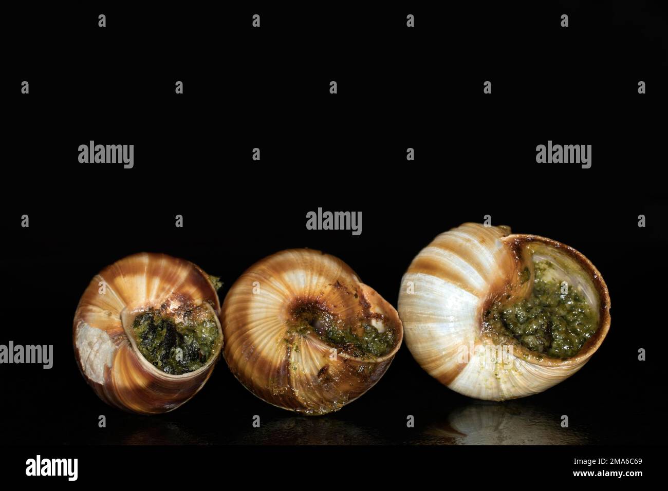 Striped (Helix lucorum) Roman snails with herb garlic butter, studio ...