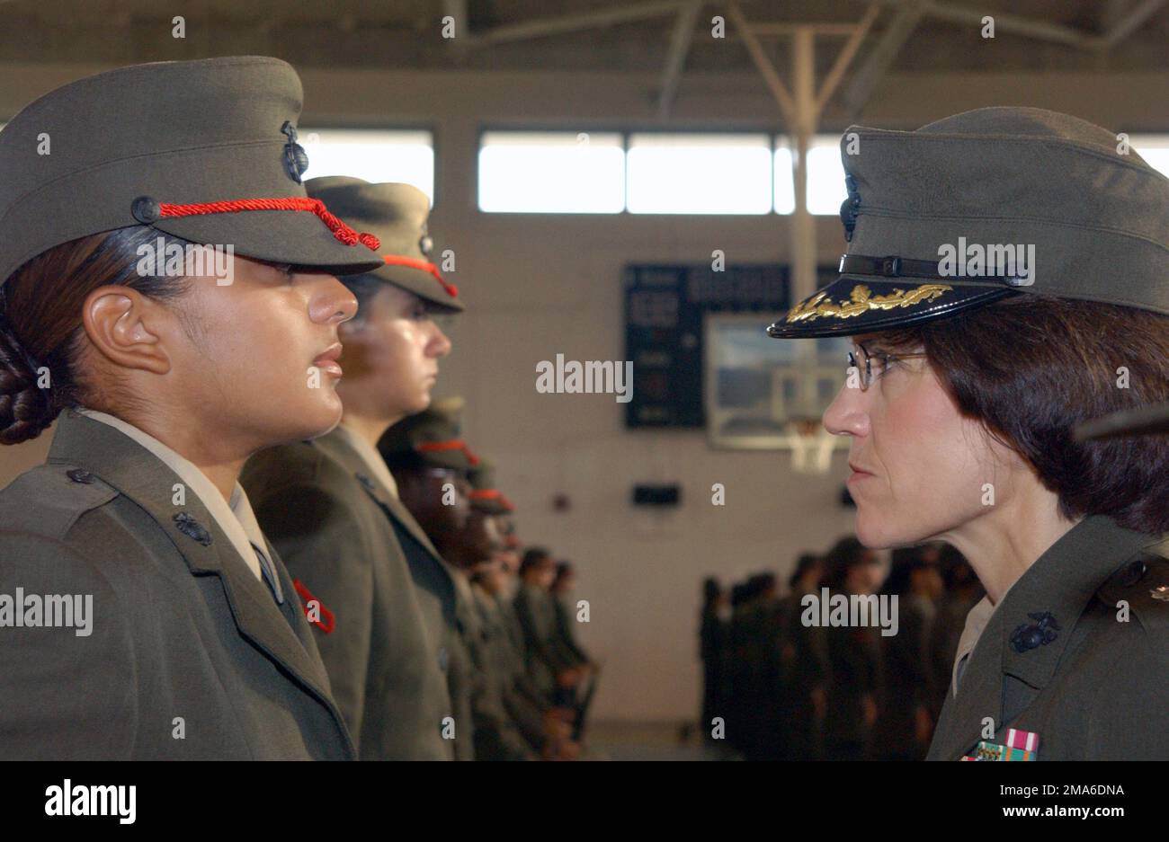 US Marine Corps (USMC) Lieutenant Colonel (LTC) Cynthia J. Valentin ...
