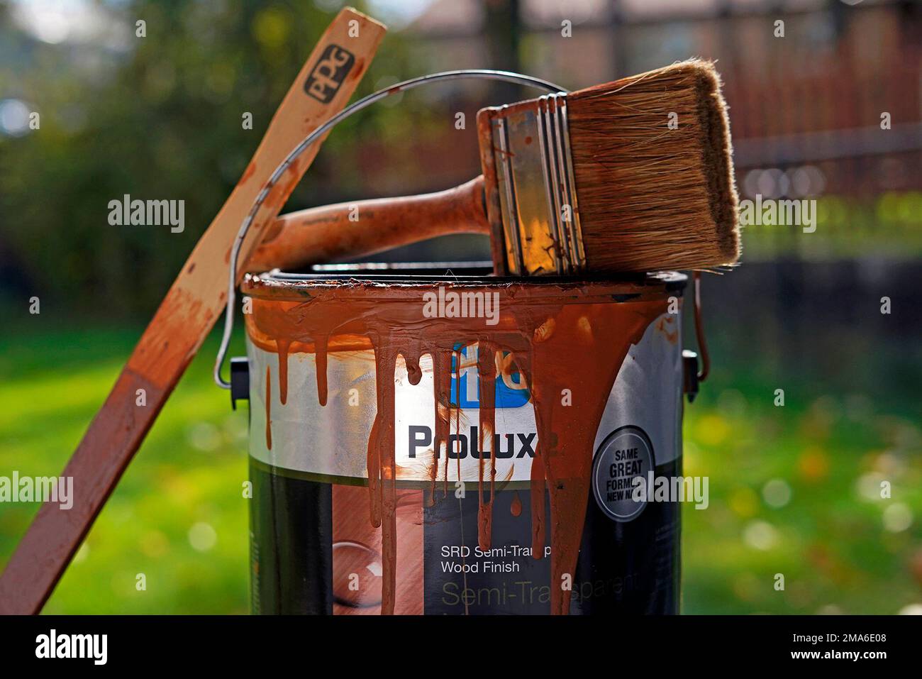 This is a gallon of PPG ProLux Semi-Transparent Wood Finish paint in ...