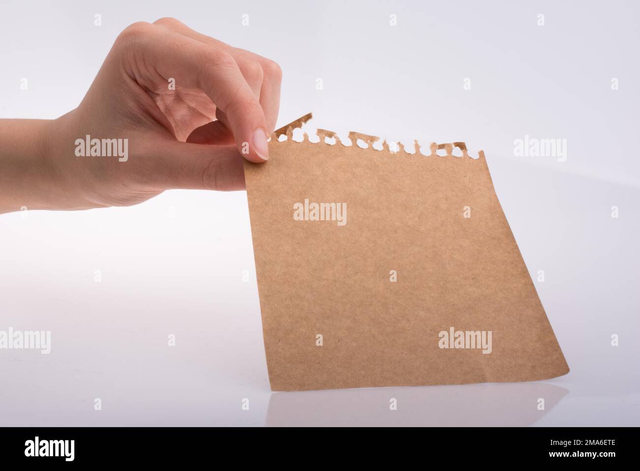 Hand holding a sheet of paper on a white background Stock Photo - Alamy