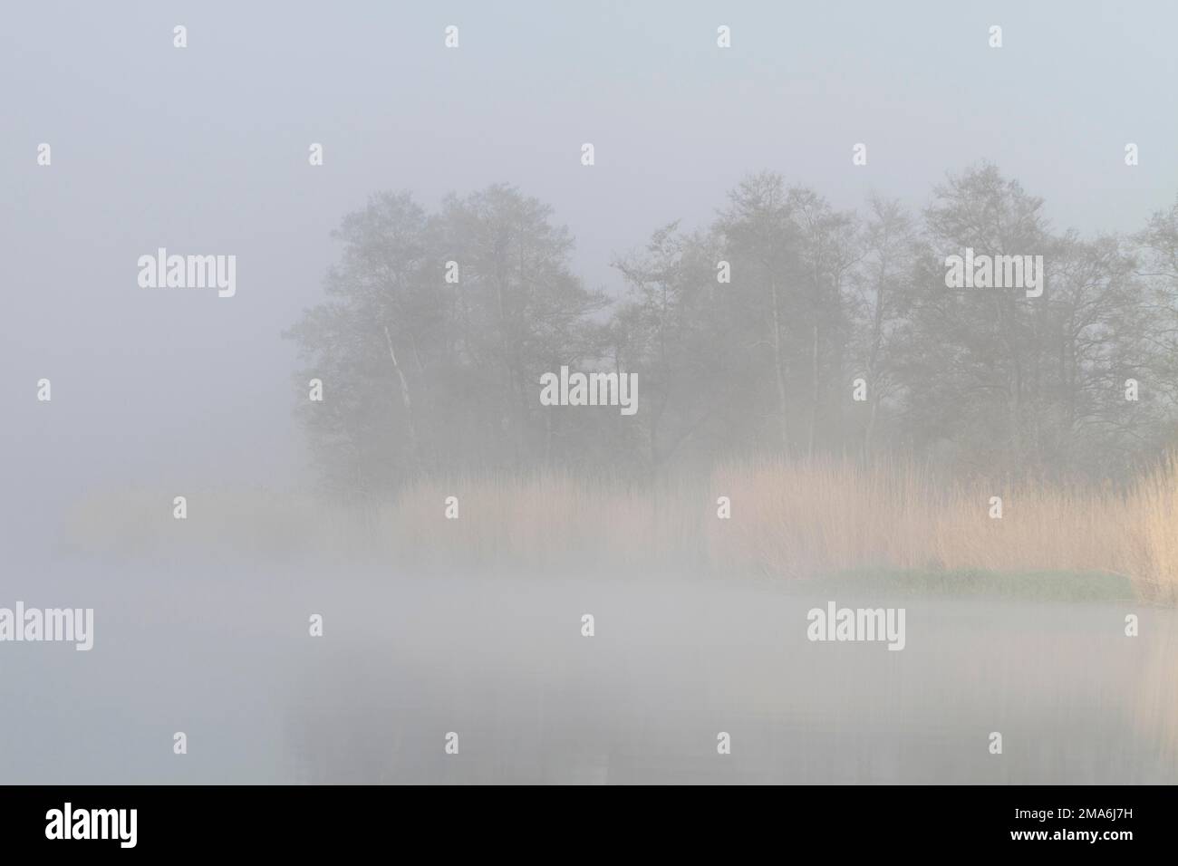 Morning mist over the river Peene, Peene Valley River Landscape nature ...