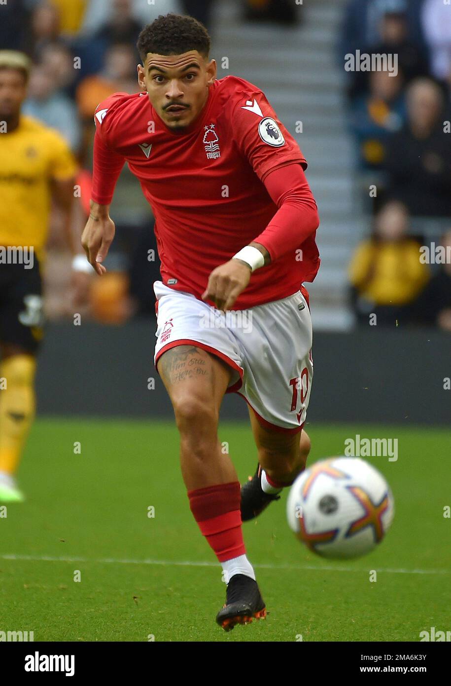 Nottingham Forest's Morgan Gibbs-White during the English Premier ...