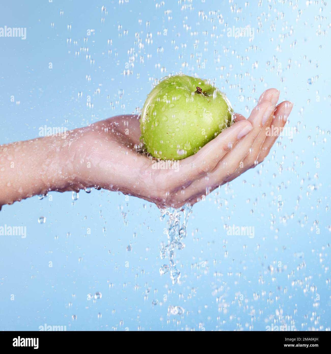 Nutritious food is the core to a healthy life. Studio shot of an ...