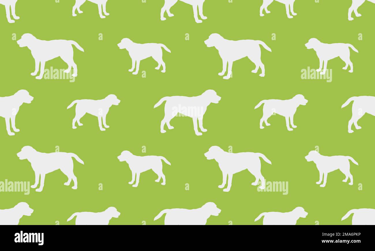 Standing labrador retriever puppy isolated on a green background ...