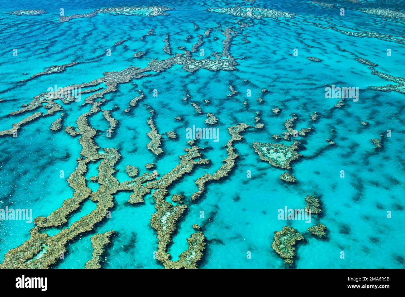 Aerial view, reefs and atolls of the Great Barrier Reef, Queensland ...