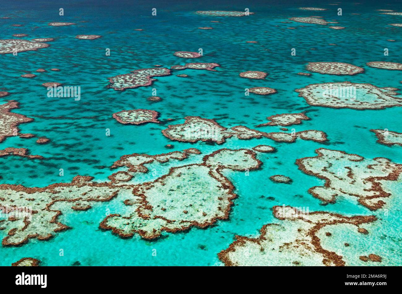 Aerial view, reefs and atolls of the Great Barrier Reef, Queensland ...