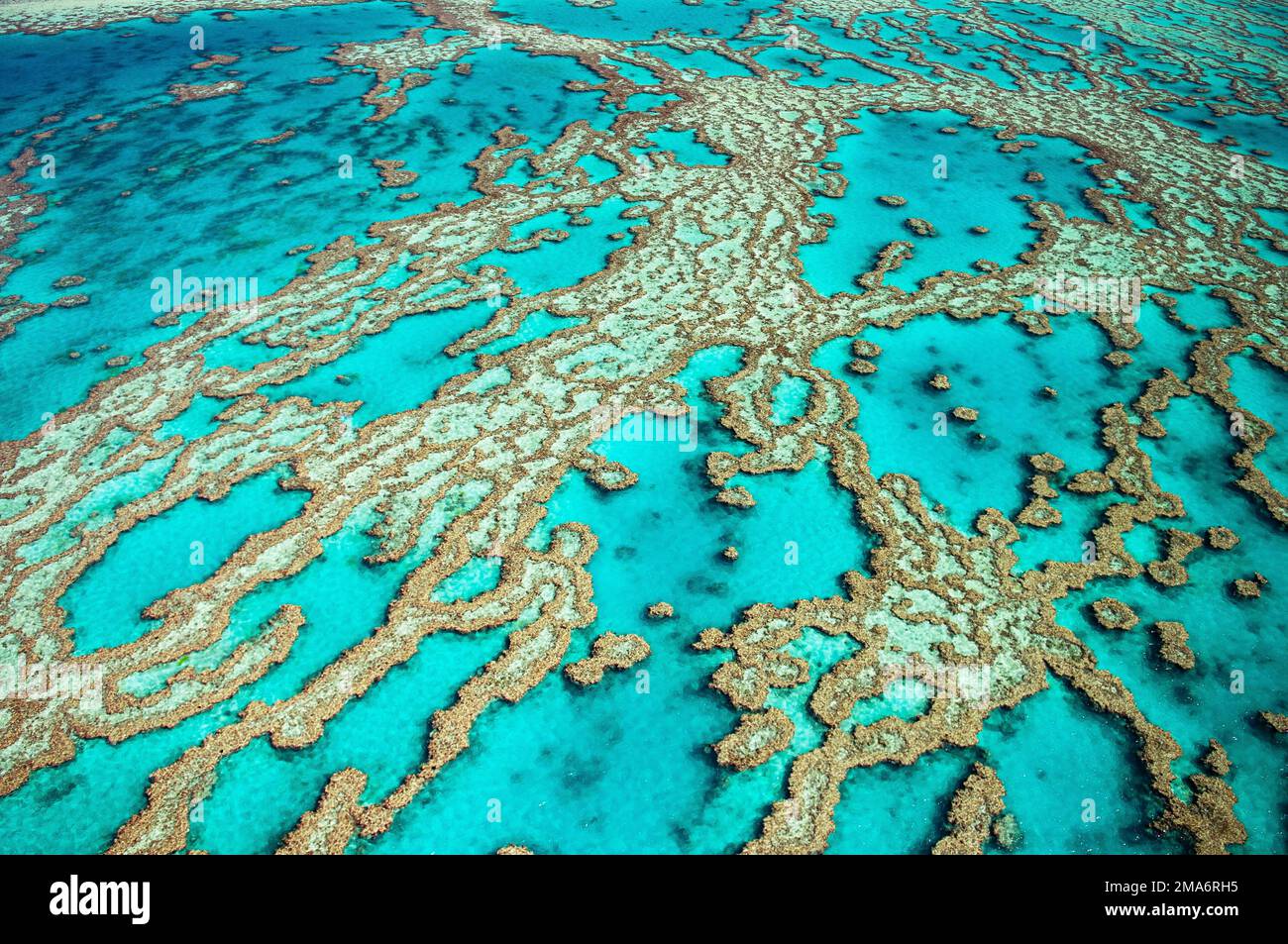 Aerial view, reefs and atolls of the Great Barrier Reef, Queensland ...