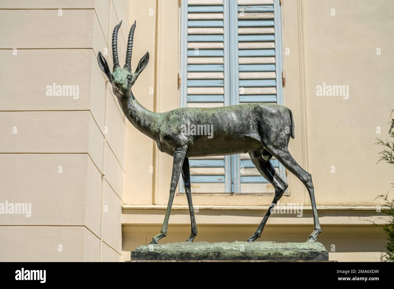 Gazelle figure by Wilhelm Wolff, Charlottenhof Palace, Sanssouci Palace ...