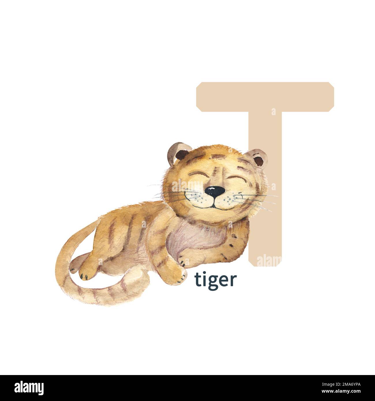 Letter T, tiger, cute kids animal ABC alphabet. Watercolor illustration ...