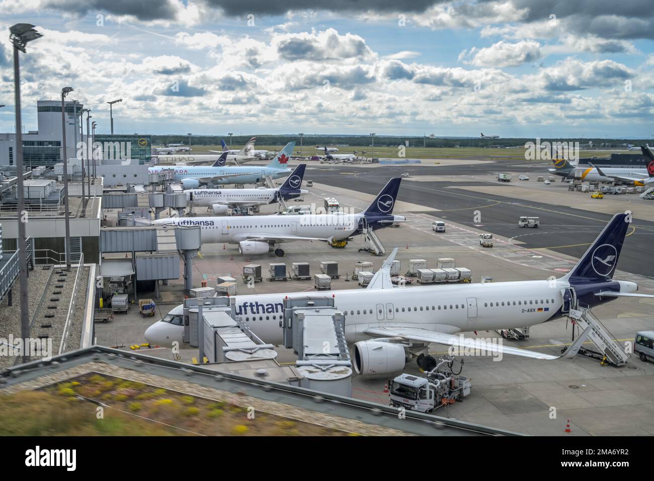 Aircraft, Gate, Handling, Lufthansa, Airport, Frankfurt am Main, Hesse ...