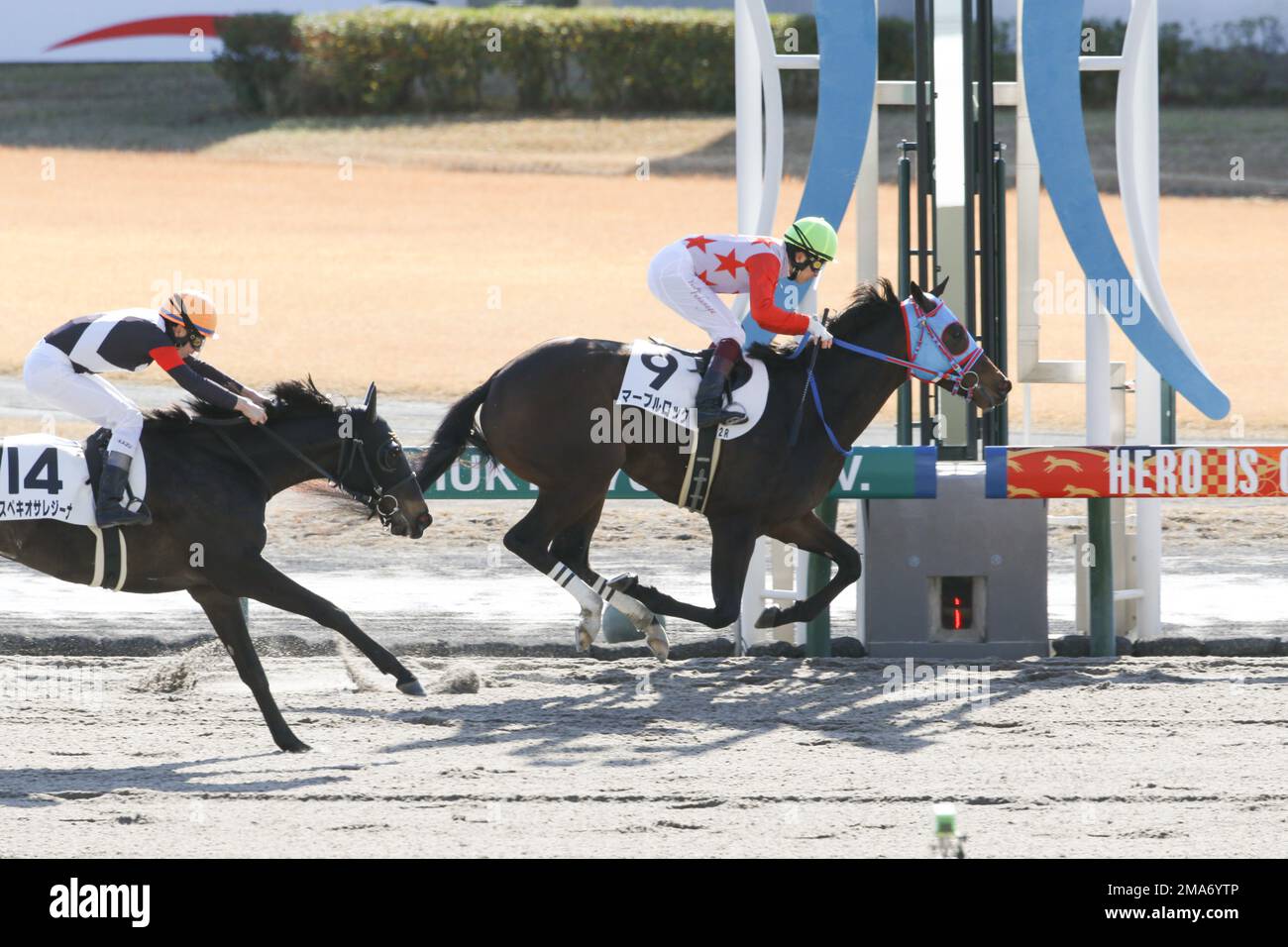 Aichi, Japan. 15th Jan, 2023. Marble Rock and Yuichi Fukunaga win the ...
