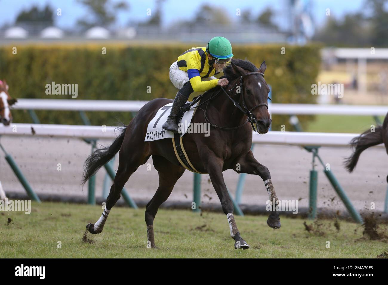 Aichi, Japan. 15th Jan, 2023. Masked Diva and Hayato Yoshida win the ...
