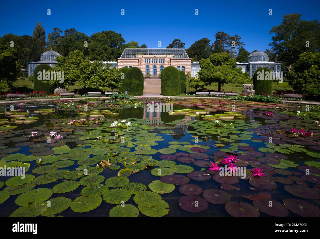 Water Lily Pond, Moorish Country House, Zoological-Botanical Garden ...