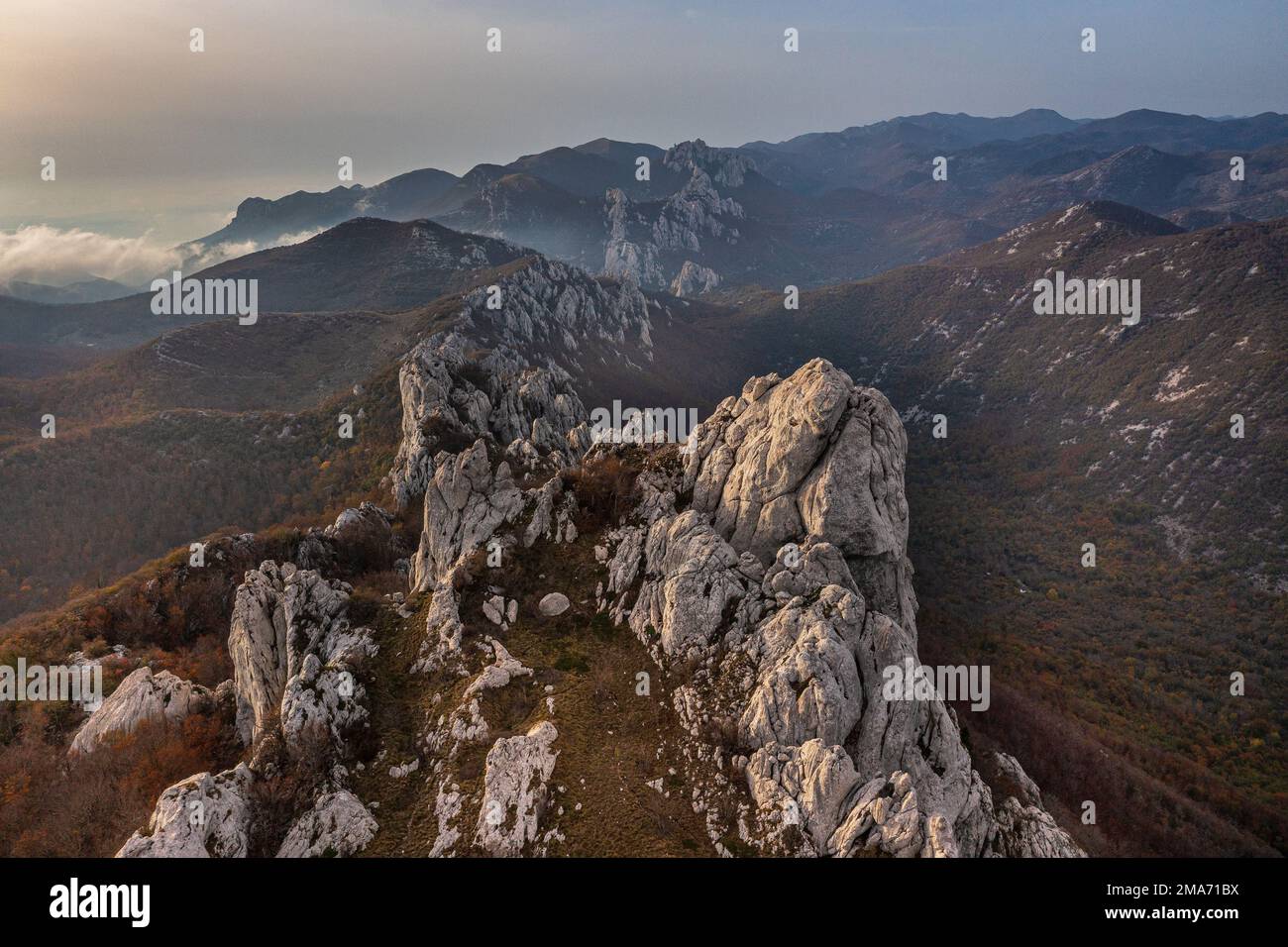 Kiza hi-res stock photography and images - Alamy