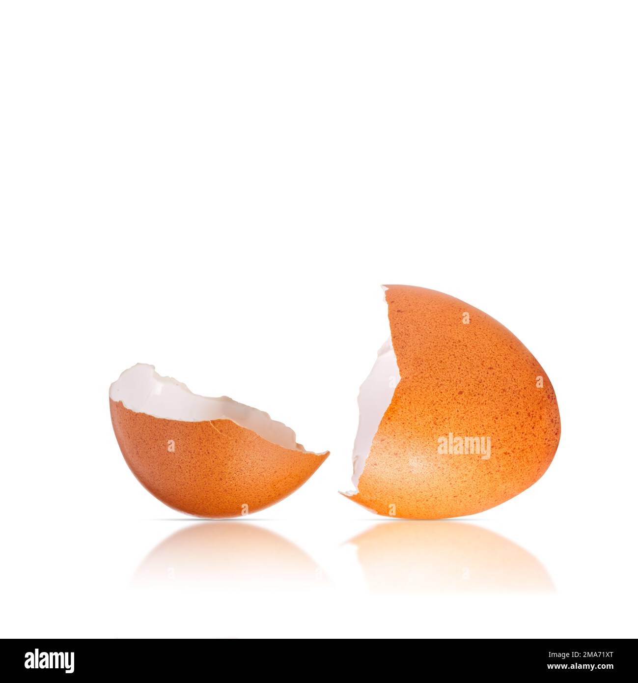 Eggshell isolated on white background, Isolated Broken eggshell Stock ...