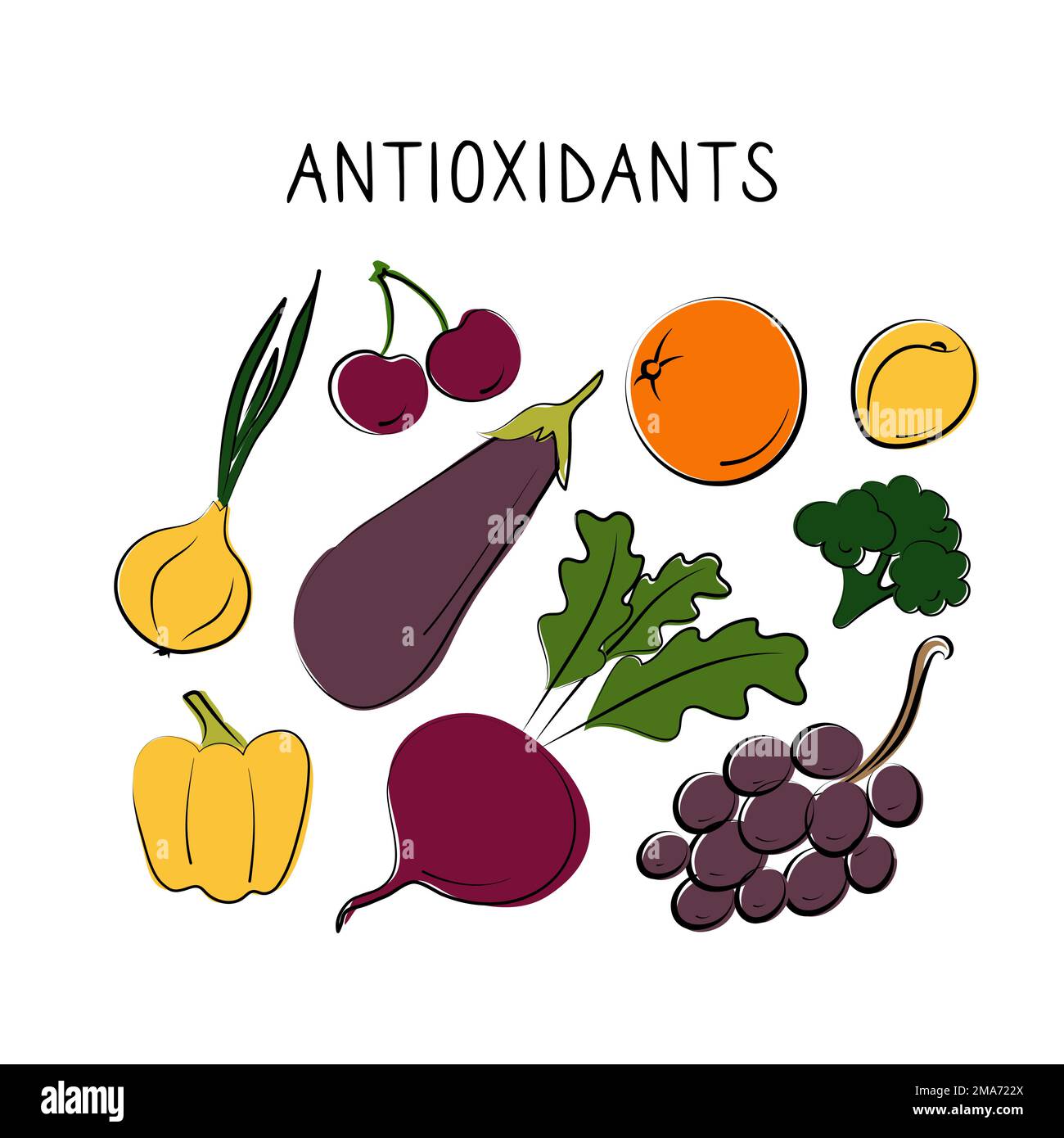 Antioxidant Rich Foods Stock Vector Images Alamy