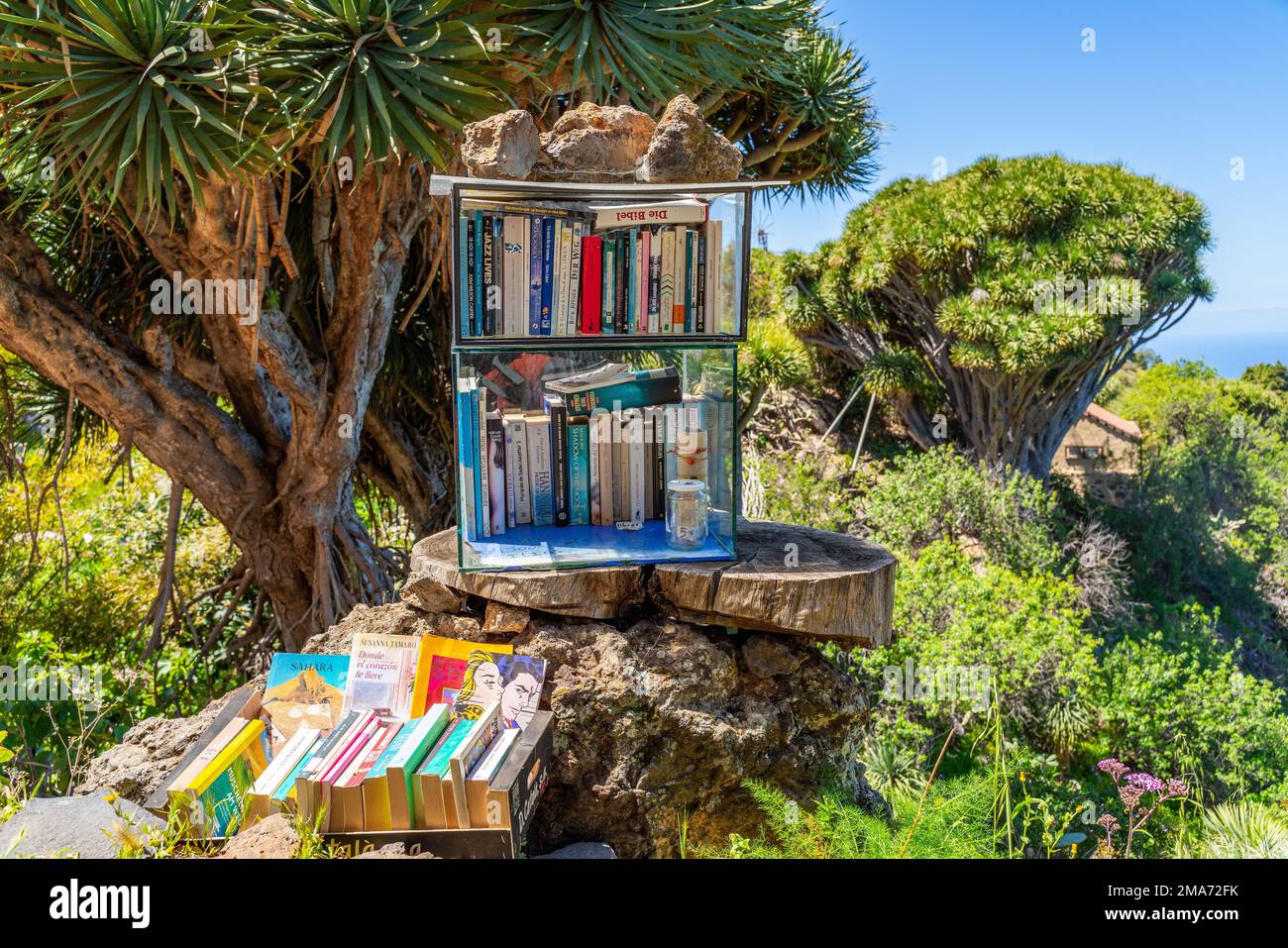 Sale of used books at the hiking trail near Las Tricias, La Palma ...